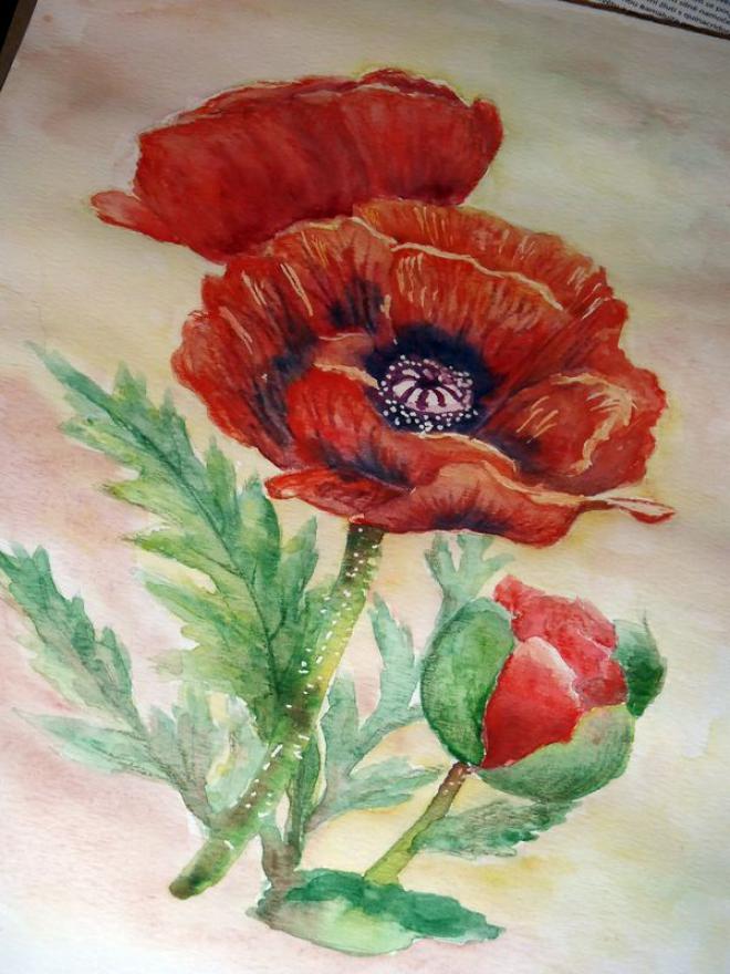 Akvarelové divé maky - fotopostup / Kikas.Designs / SAShE.sk