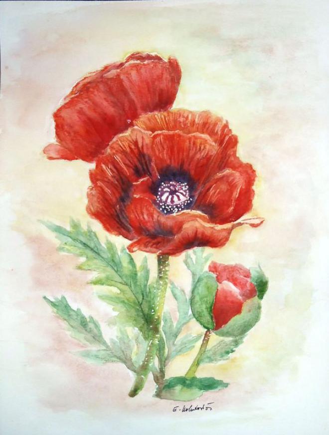 Akvarelové divé maky - fotopostup / Kikas.Designs / SAShE.sk