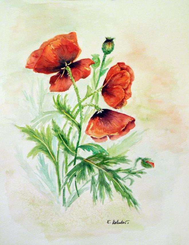 Akvarelové divé maky - fotopostup / Kikas.Designs / SAShE.sk