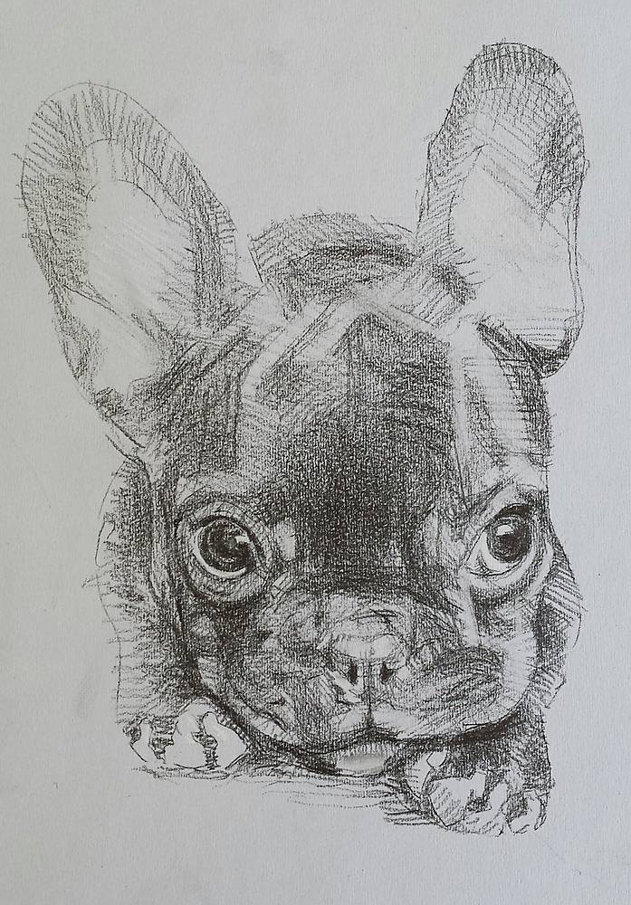 Pes 2 / D.Art - SAShE.sk