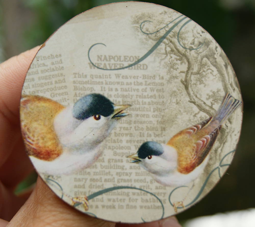 Napoleon Weaver Bird / SkaraZu - SAShE.sk