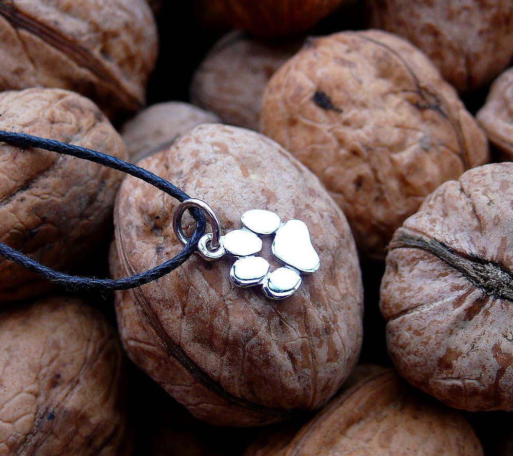 Psia labka 1 / IngridPatayova - SAShE.sk