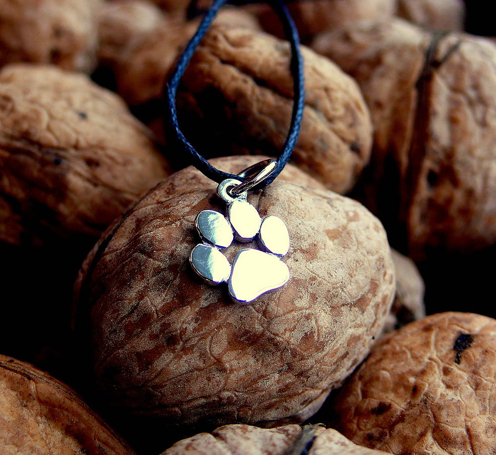 Psia labka 1 / IngridPatayova - SAShE.sk