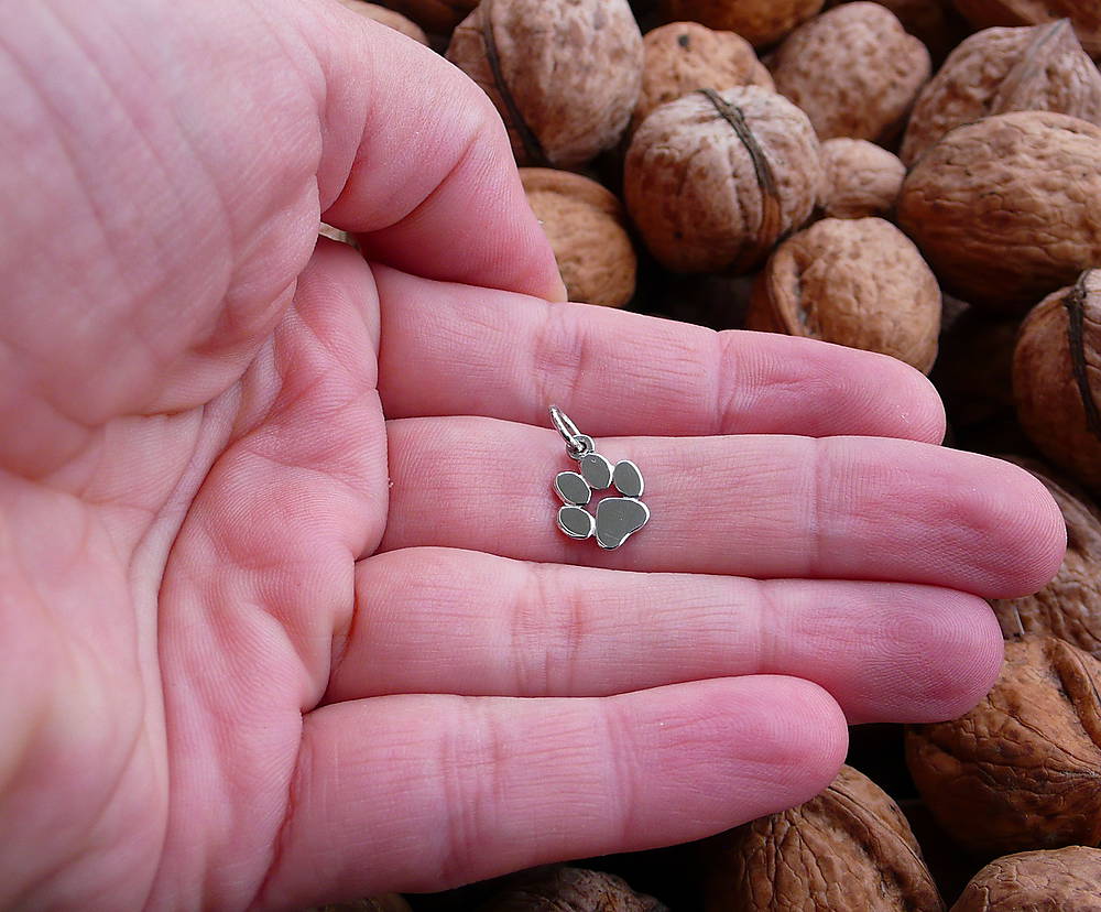 Psia labka 1 / IngridPatayova - SAShE.sk