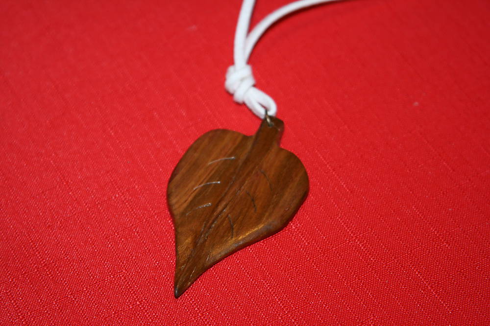 List zo slivky / Duro578 - SAShE.sk