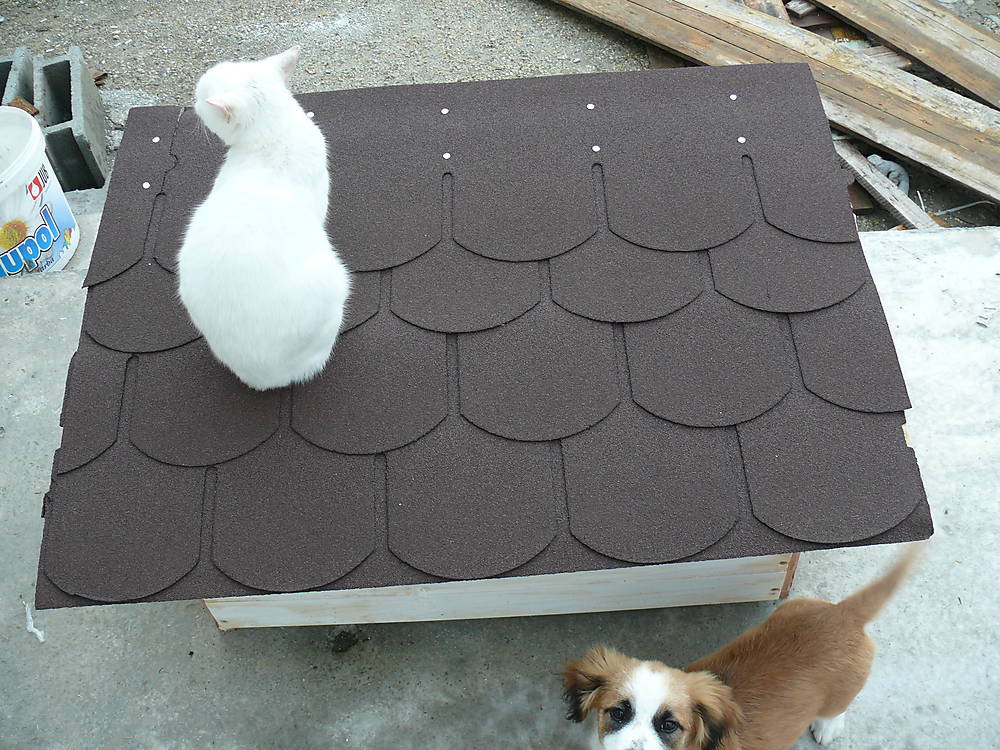 Zateplená búdka pre psa-ihned k odberu :) / ritatony - SAShE.sk