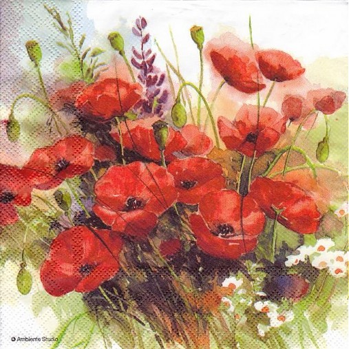 Divé maky / MartinaKovacic - SAShE.sk