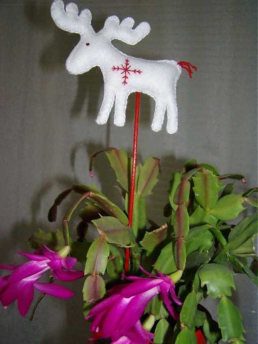 Sob Rudolf / Zblnka - SAShE.sk