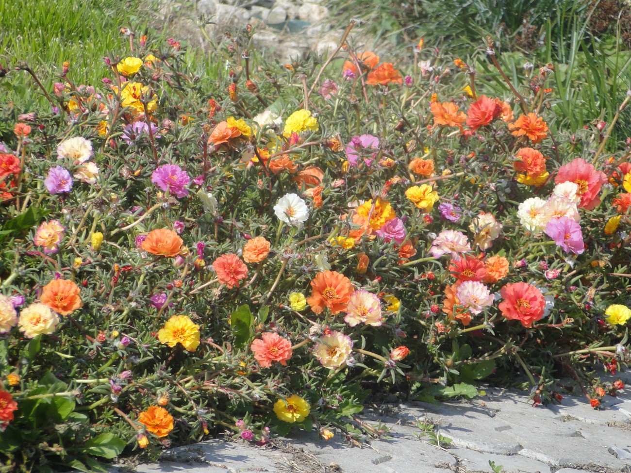 NELINA - Korálky, komponenty, náušnice a iné vecičky