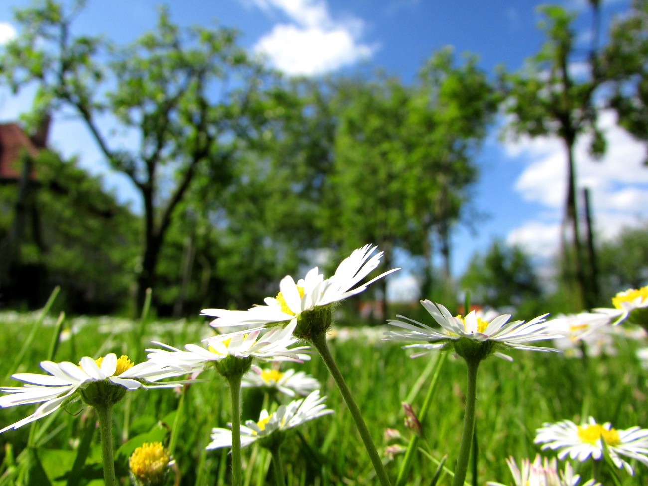 samuel_dostal_art / SAShE.sk