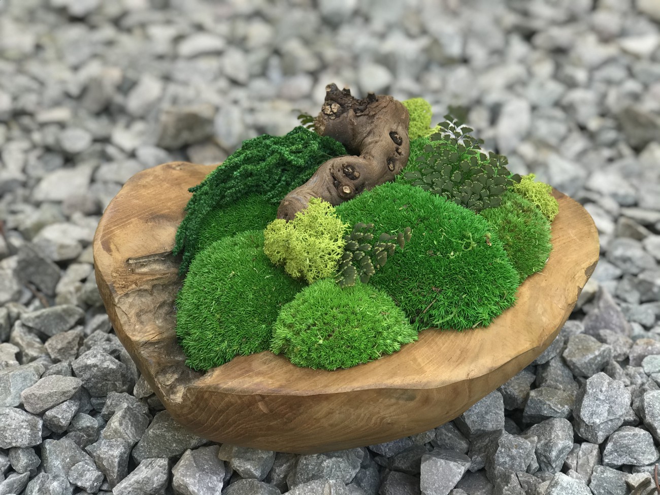 - SecretBloom / SAShE.sk