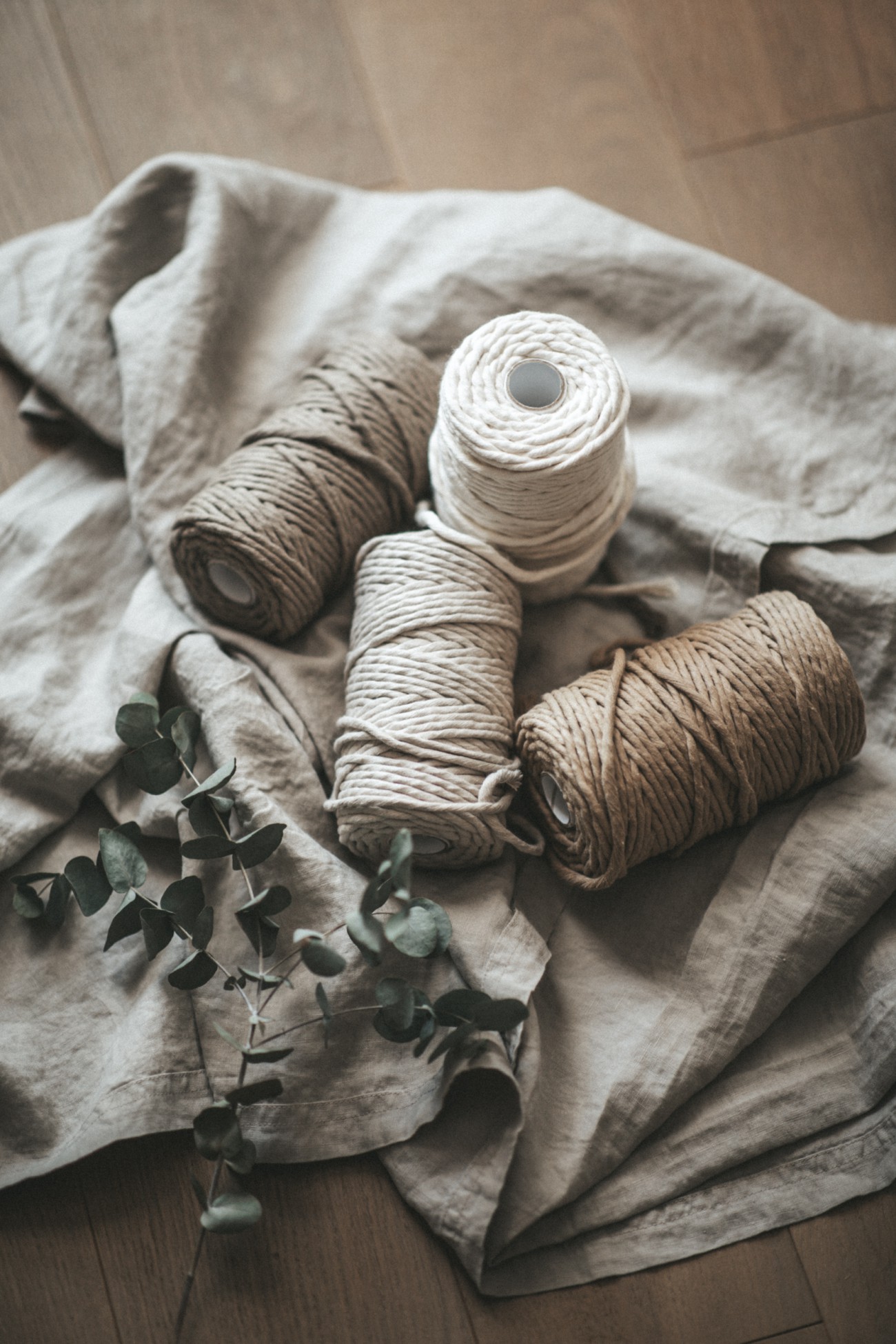 dopletena / SAShE.sk