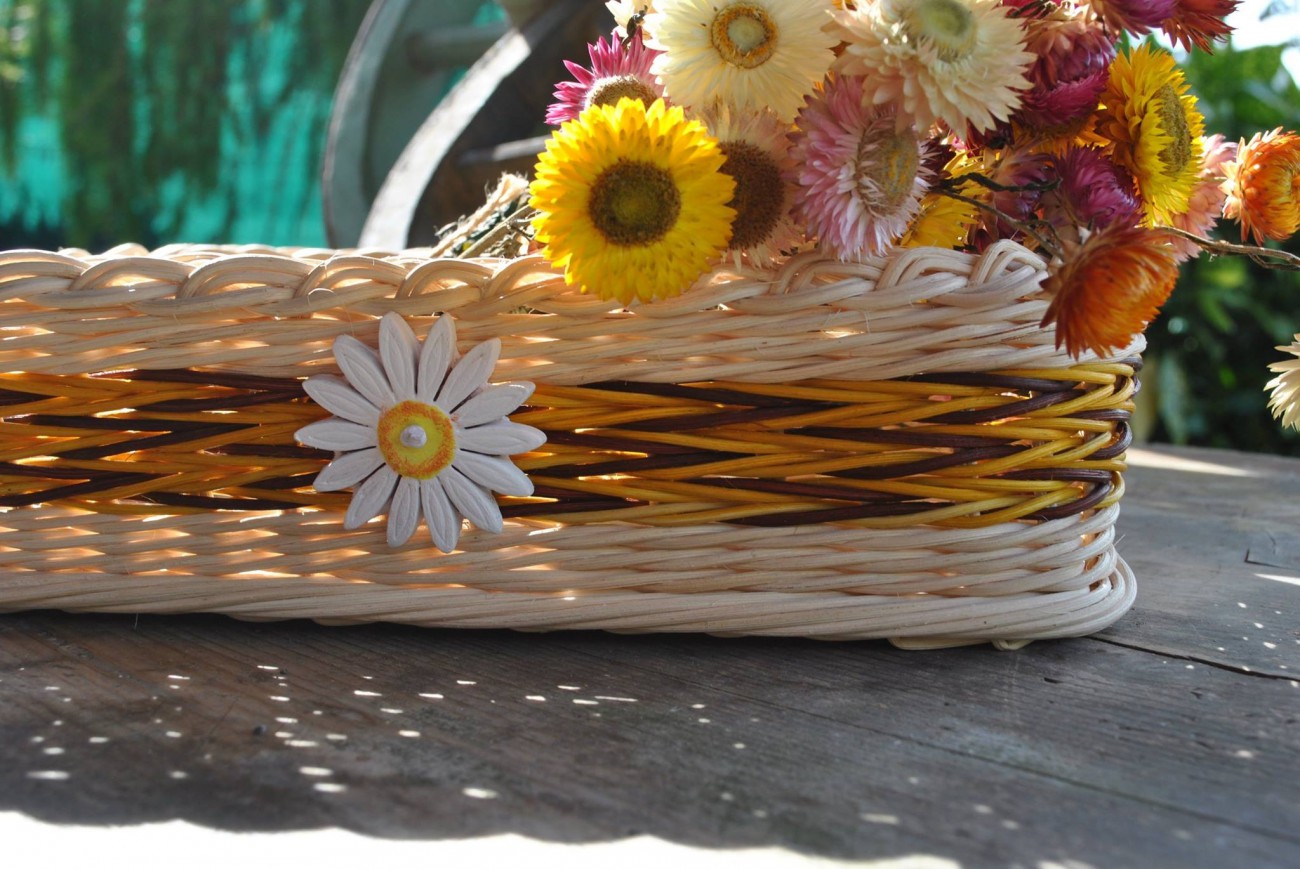 DAISY - DAISY