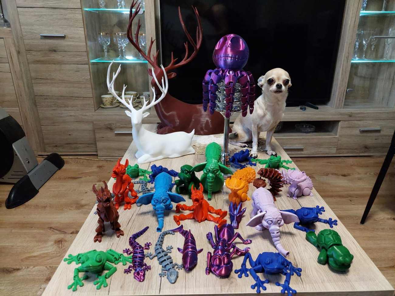 - HrackypreDeticky / SAShE.sk