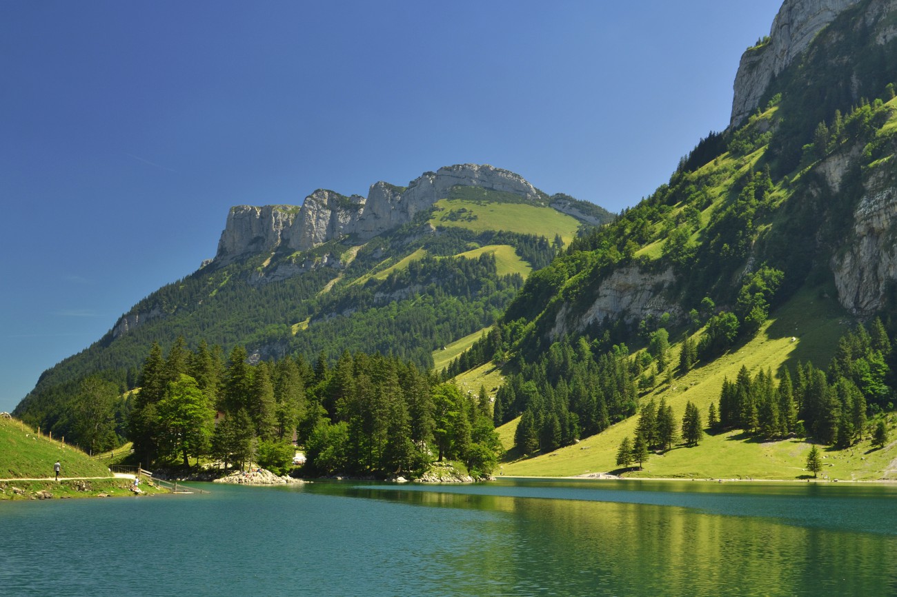 - cabajka / SAShE.sk